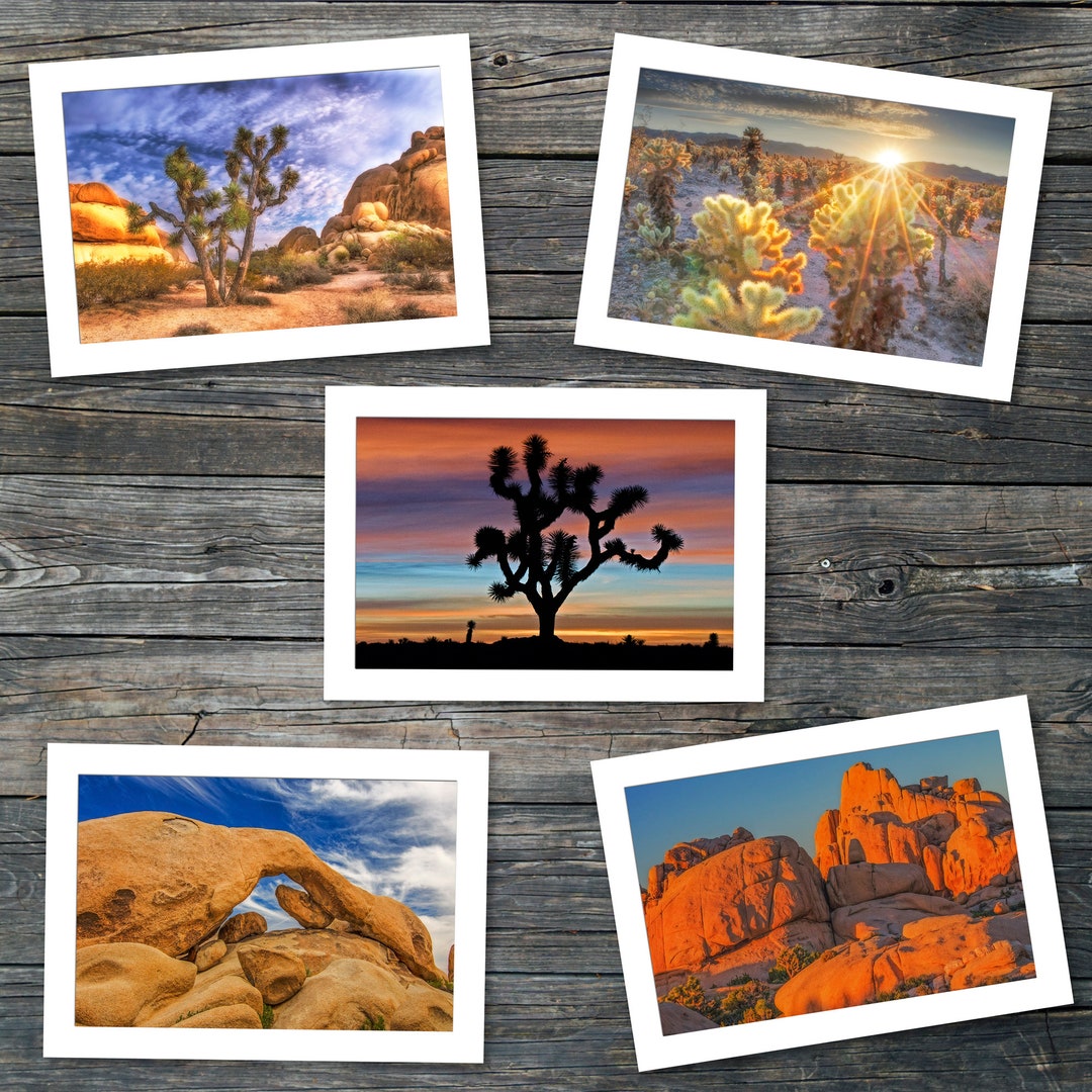 Nature Cards | Joshua Tree National Park - Etsy