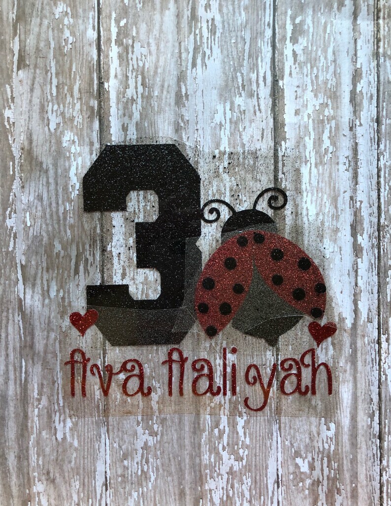 Ladybug Birthday Iron on Decal/ DIY Ladybug Shirt/DIY Ladybug | Etsy
