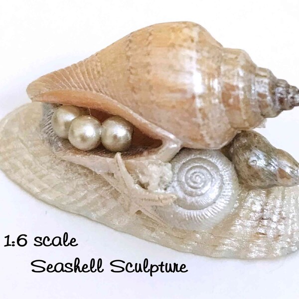 Seashell Sculpture - Etsy