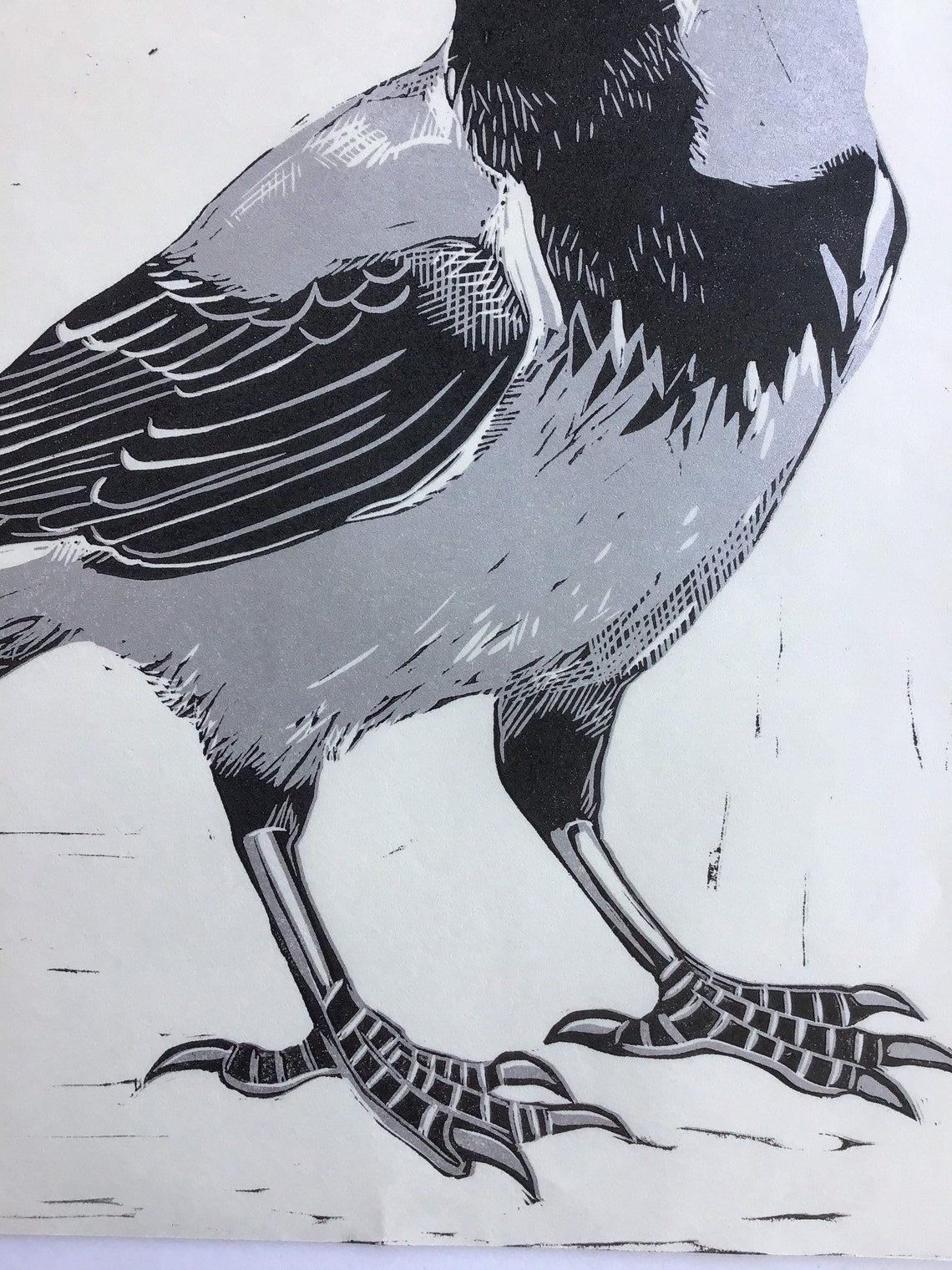 Hooded Crow Corvid Bird Reduction Linocut Linoprint Print Printmaking ...