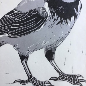 Hooded Crow Corvid Bird Reduction Linocut Linoprint Print Printmaking ...