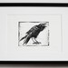 Raven Corvid Bird Linocut Linoprint Print Printmaking Handmade Drawing ...