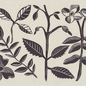 Botanicals Flowers Nature Plants Linocut Linoprint Printmaking Drawing ...