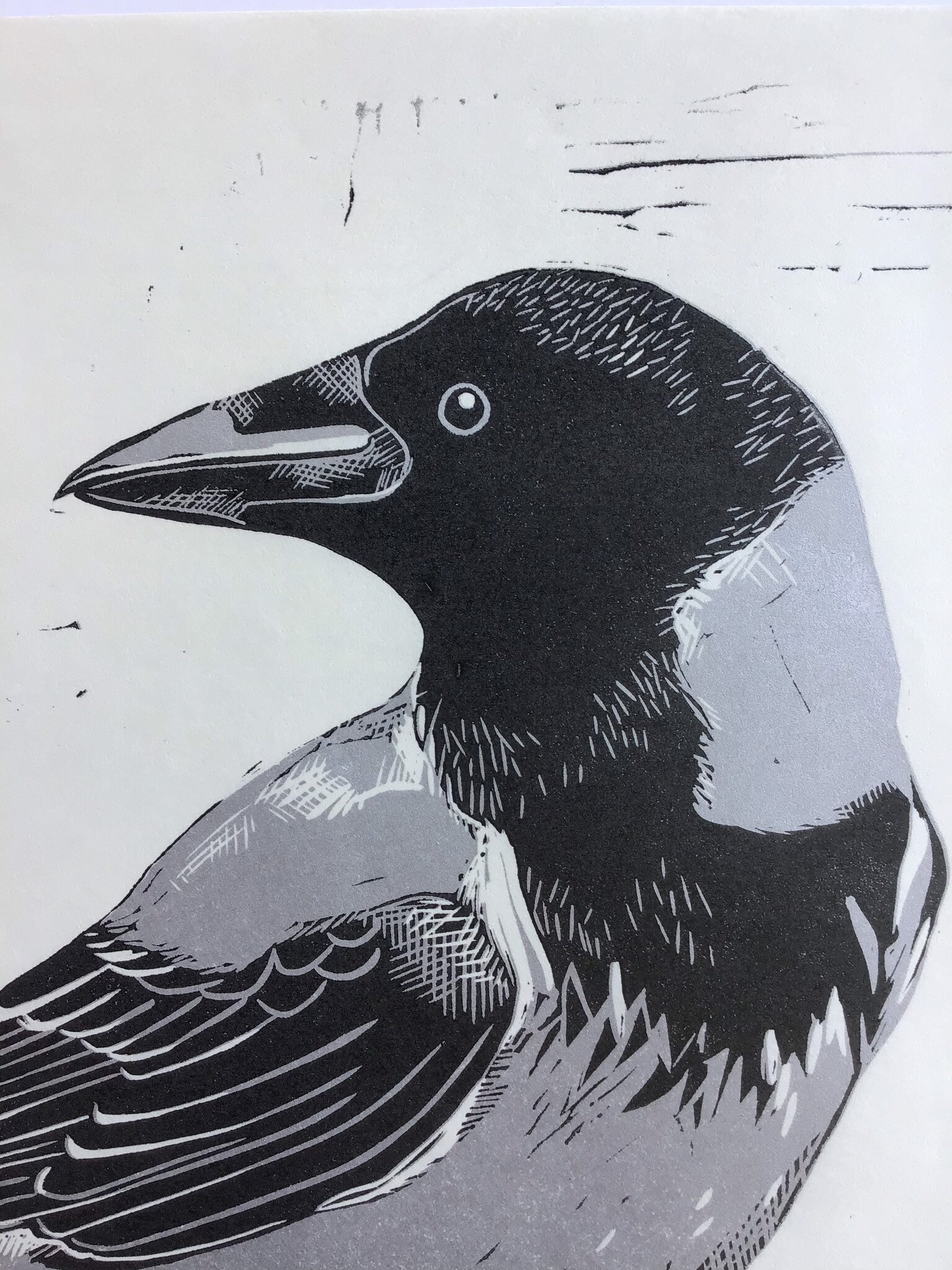 Hooded Crow Corvid Bird Reduction Linocut Linoprint Print Printmaking ...
