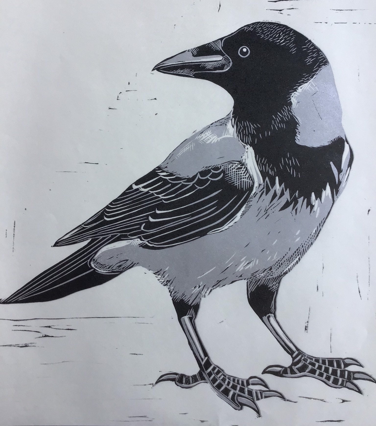 Hooded Crow Corvid Bird Reduction Linocut Linoprint Print - Etsy