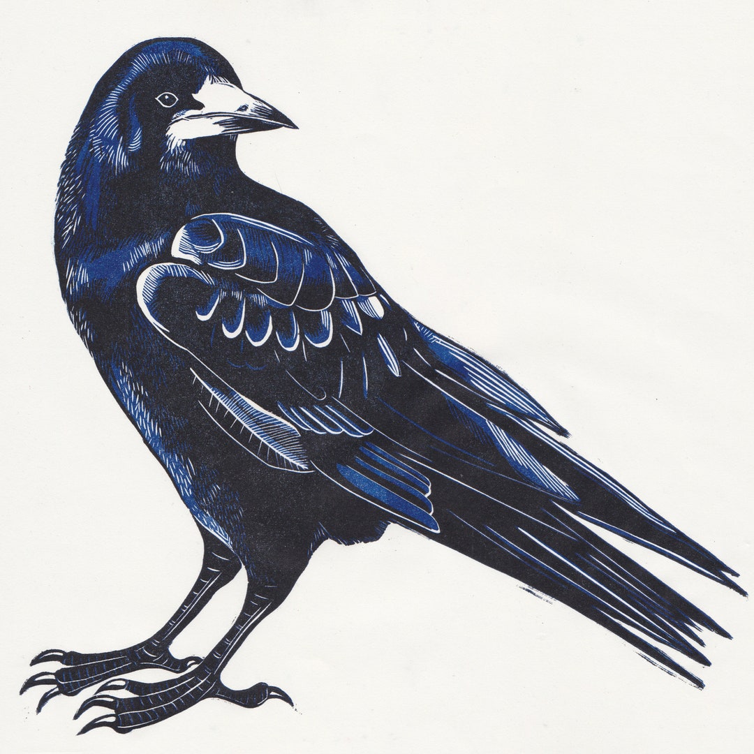 Rook Corvid Bird Reduction Second Linocut Linoprint Affordable Art ...