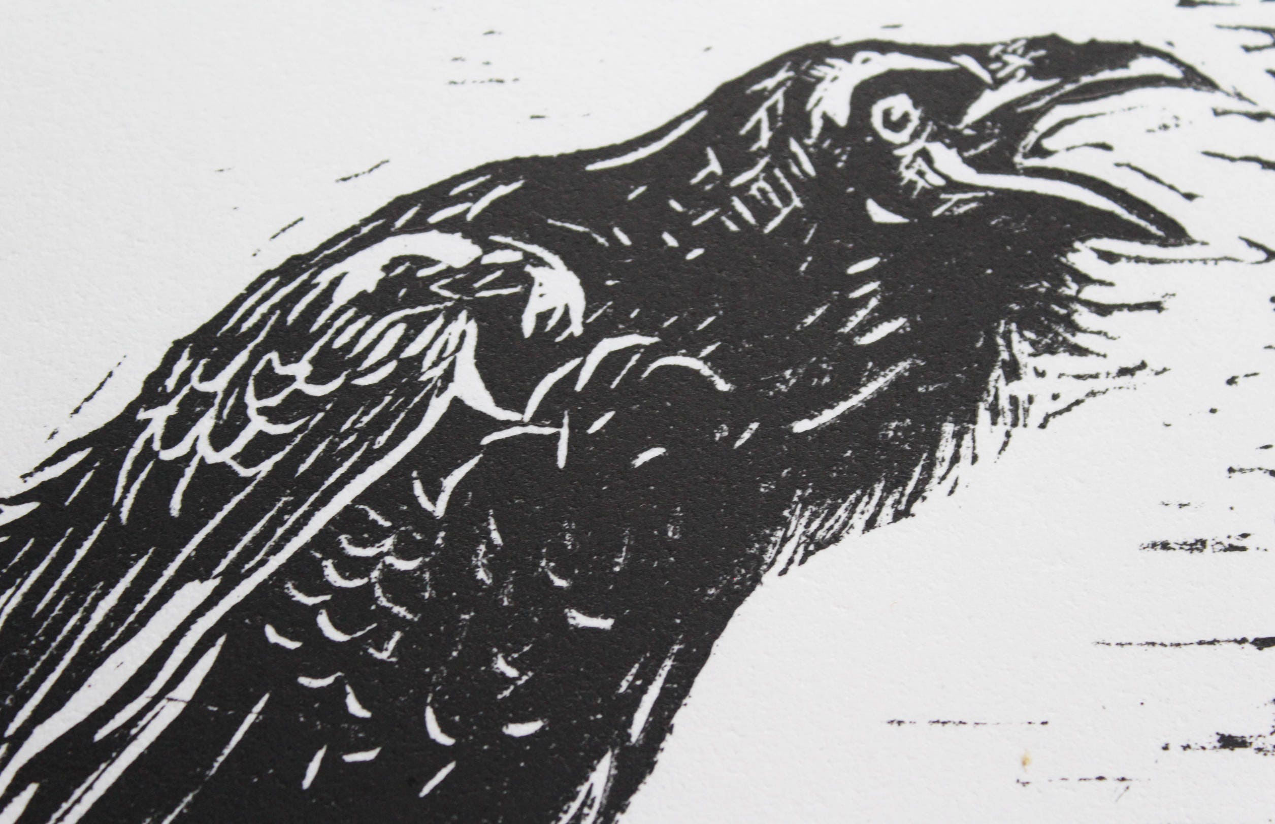 Raven Corvid Bird Linocut Linoprint Print Printmaking Handmade - Etsy ...