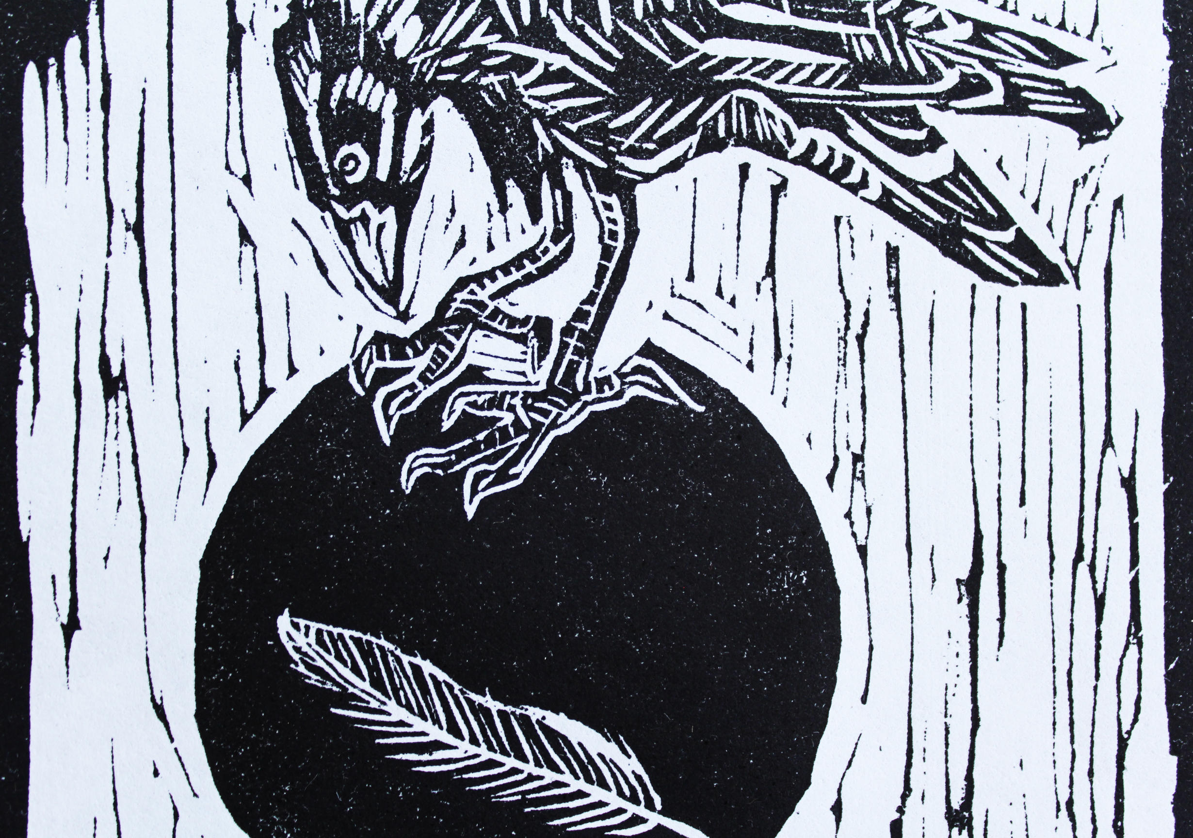 Crow Feather Linocut Linoprint Limited Edition Affordable Art Black and ...