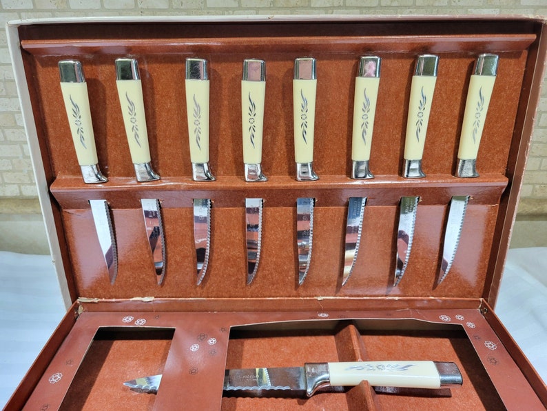 Desert Flower Knife Set 11 Pcs Regent Sheffield Deluxe - Etsy
