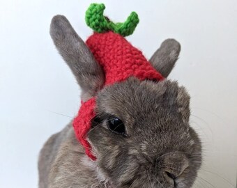 Pet rabbit clothes | Etsy