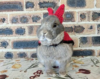 Pet Costumes | Etsy