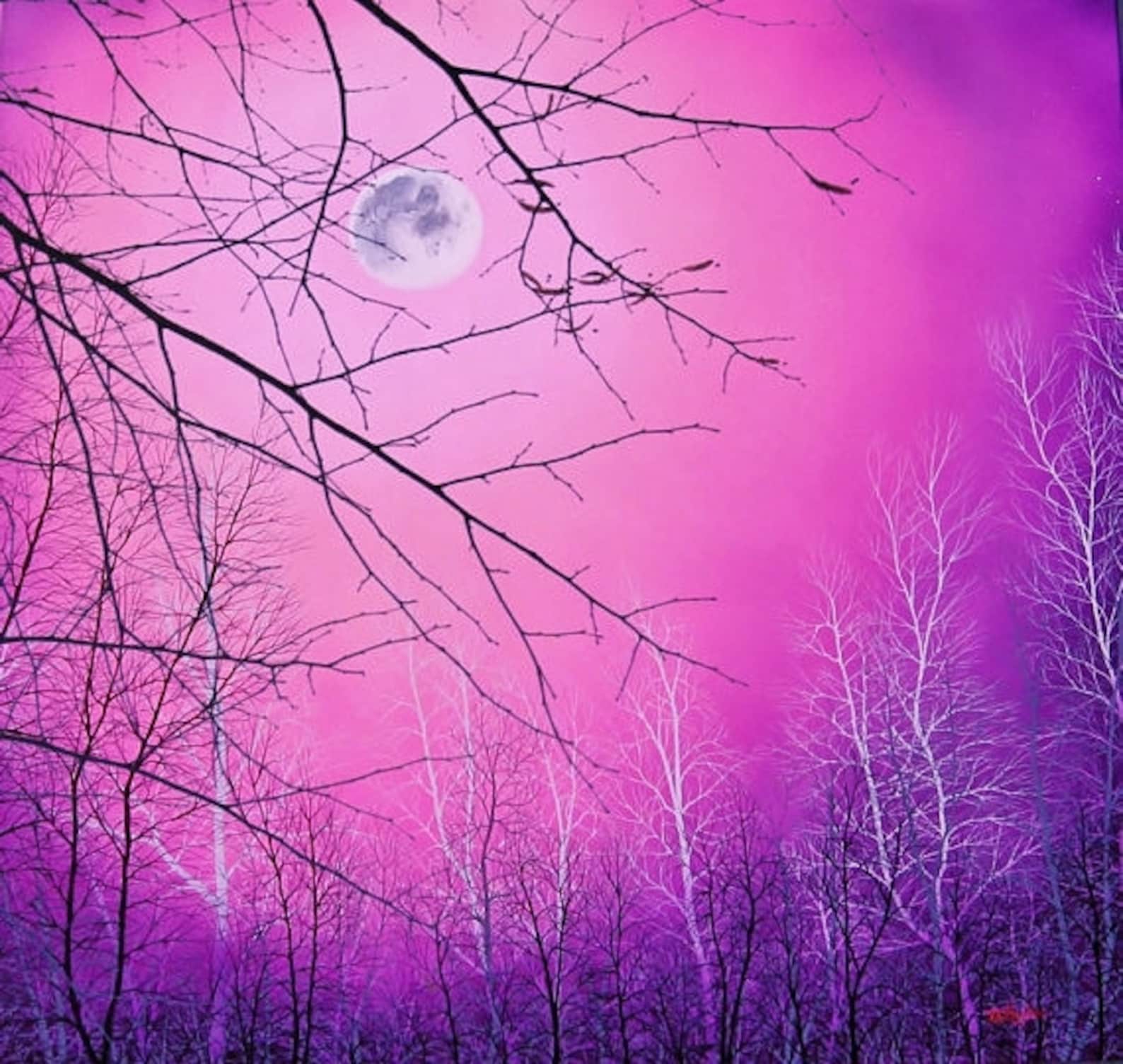 FROSTY MOON LIT Cold Night Open Trees, Canvas Print Size 12 X 12. - Etsy
