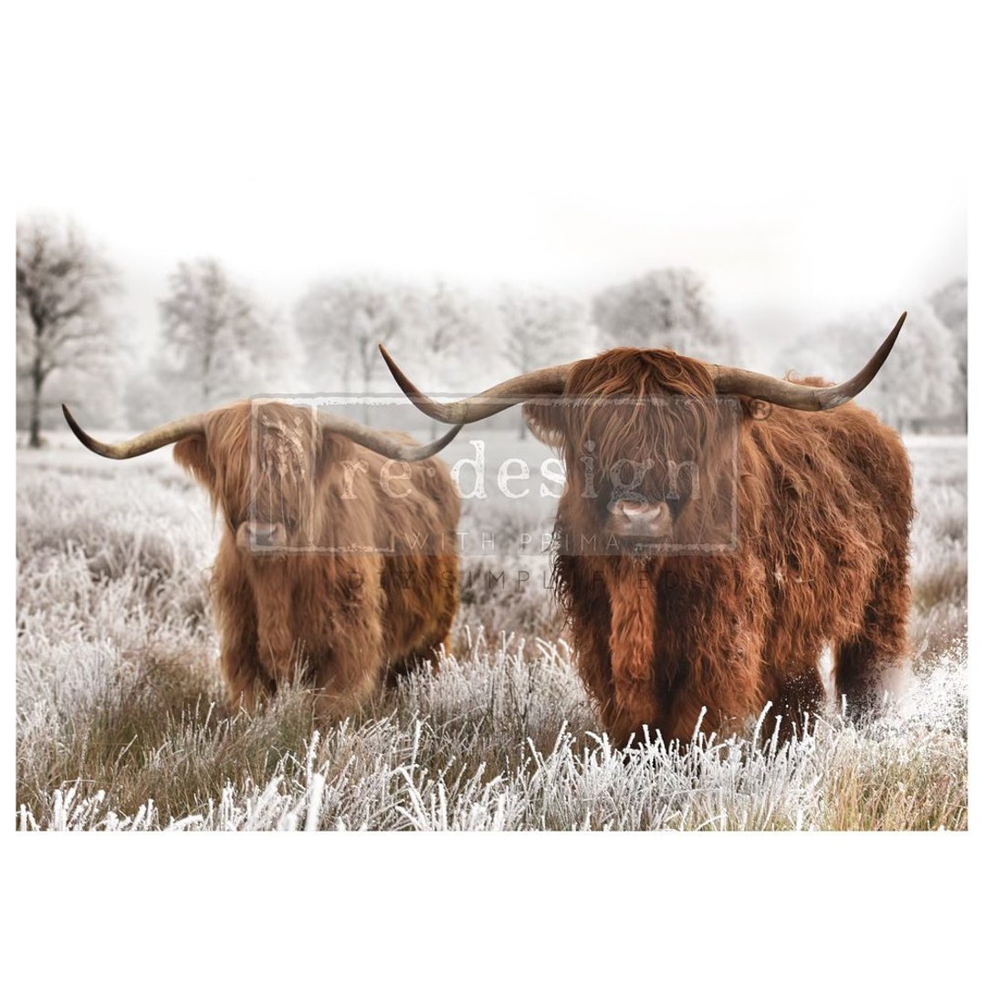 HIGHLAND HARMONY - New! - Redesign With Prima Highland Cow Country ...