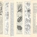 DIGITAL DOWNLOAD Collection of Ephemera and Book Pages for - Etsy