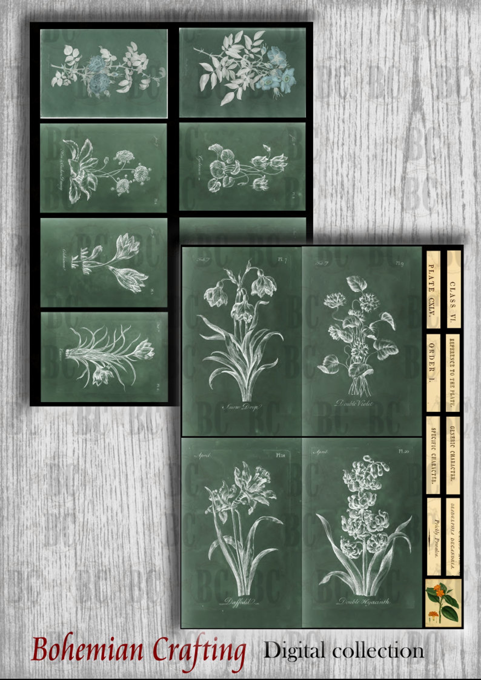 DIGITAL DOWNLOAD Collection of Ephemera and Book Pages for - Etsy UK