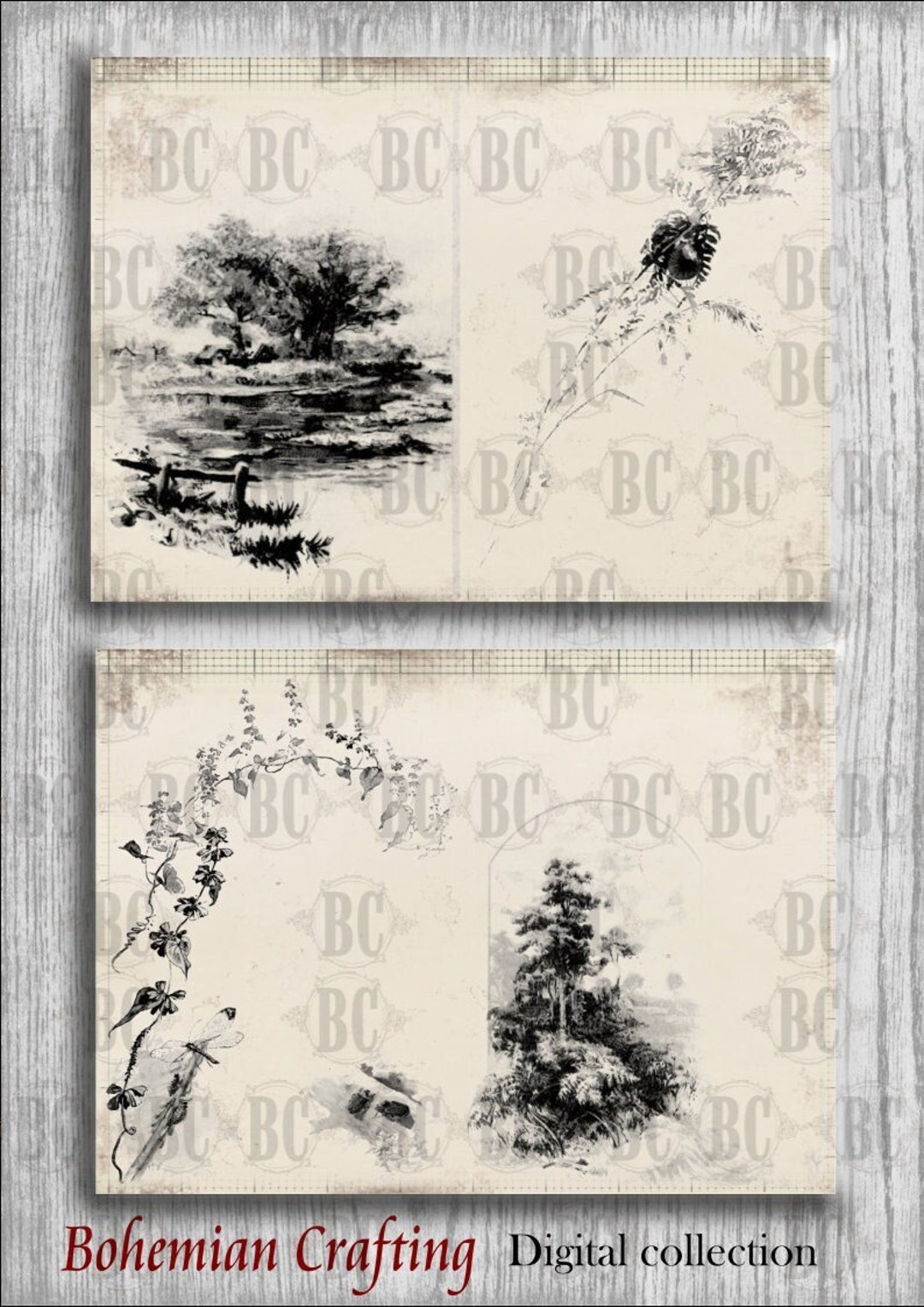 Amazing Nature Journal Pages Digital Download, Printables, US Letter ...