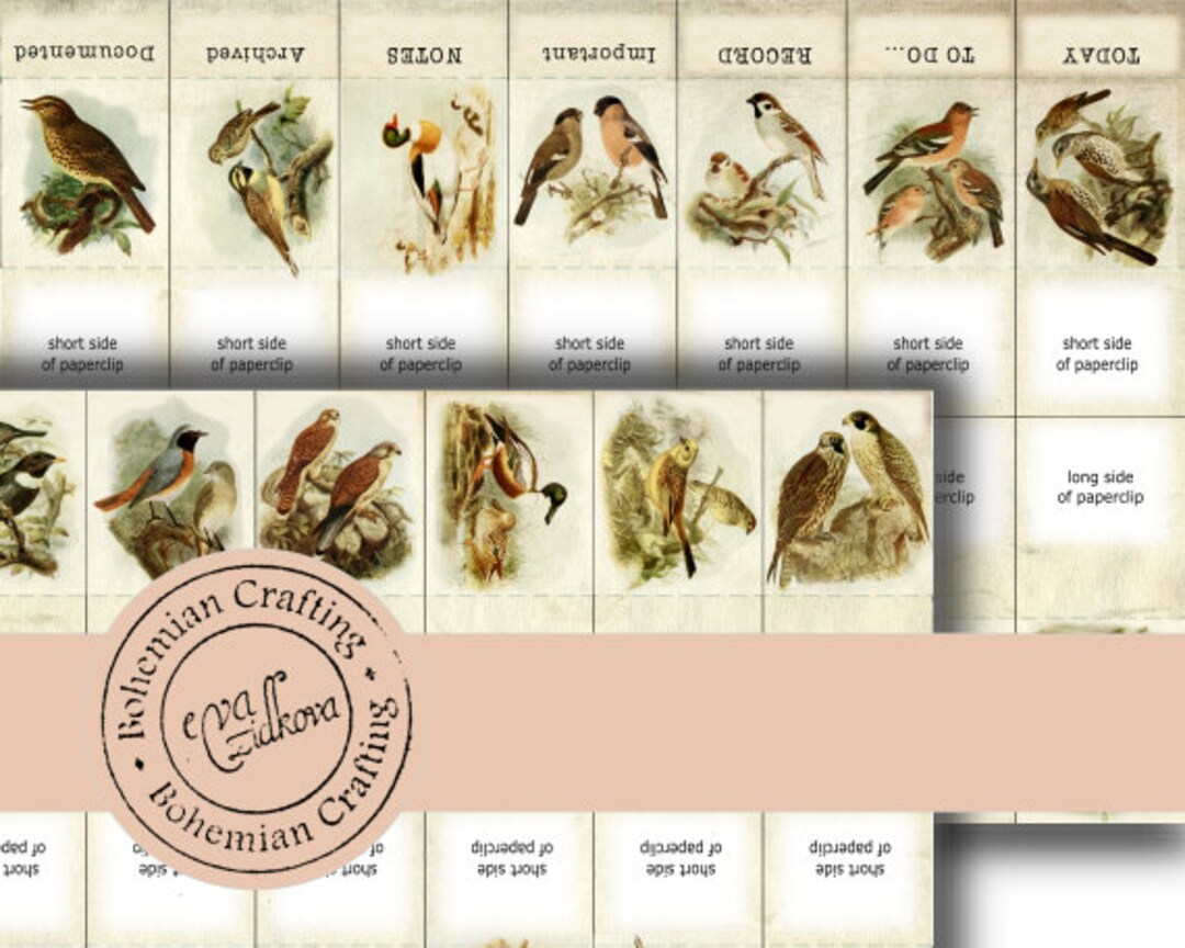 Vintage Birds Hidden Paperclips Digital Design Printable Ephemera - Etsy