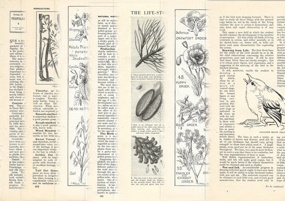 DIGITAL DOWNLOAD Collection of Ephemera and Book Pages for | Etsy UK