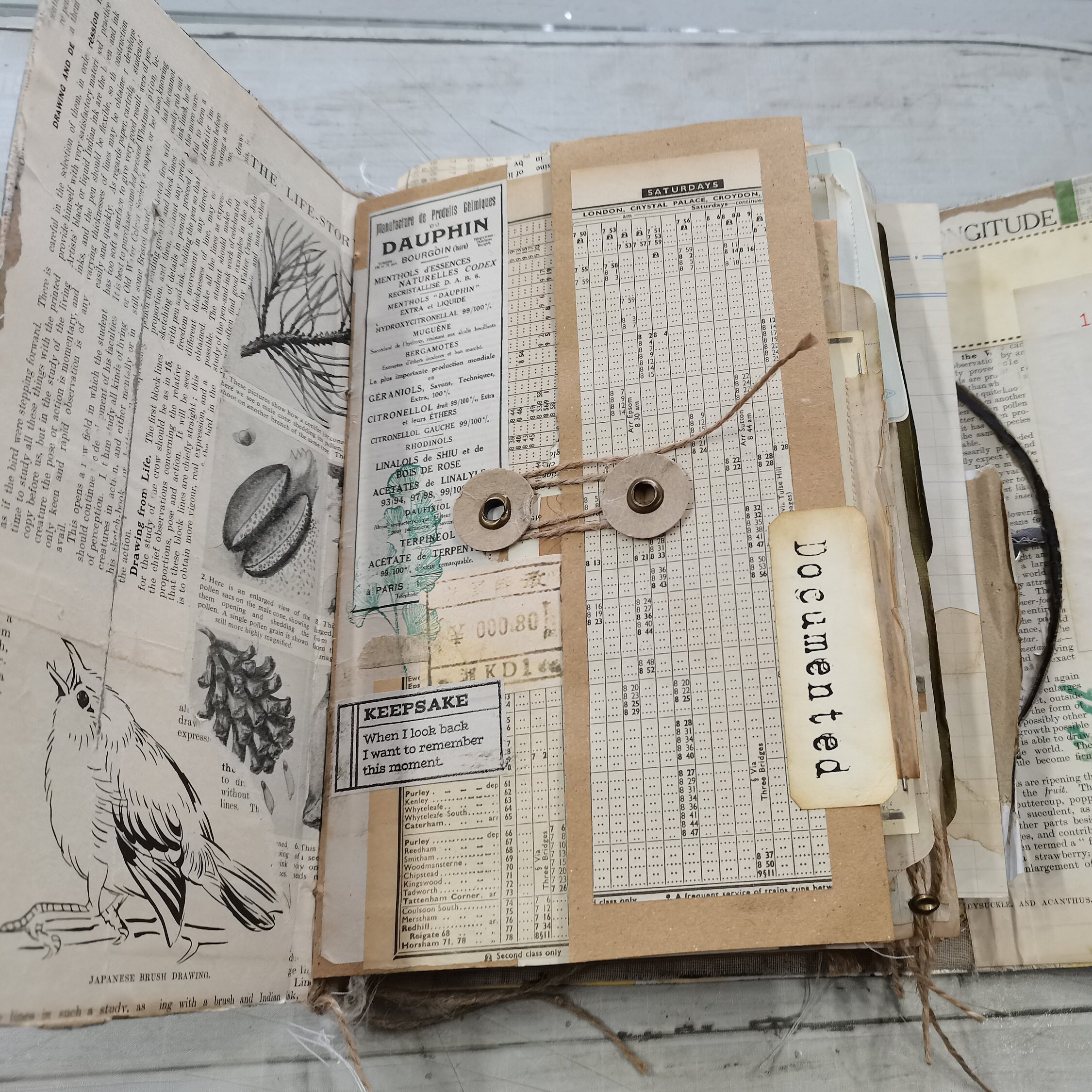 DIGITAL DOWNLOAD Collection of Ephemera and Book Pages for | Etsy UK