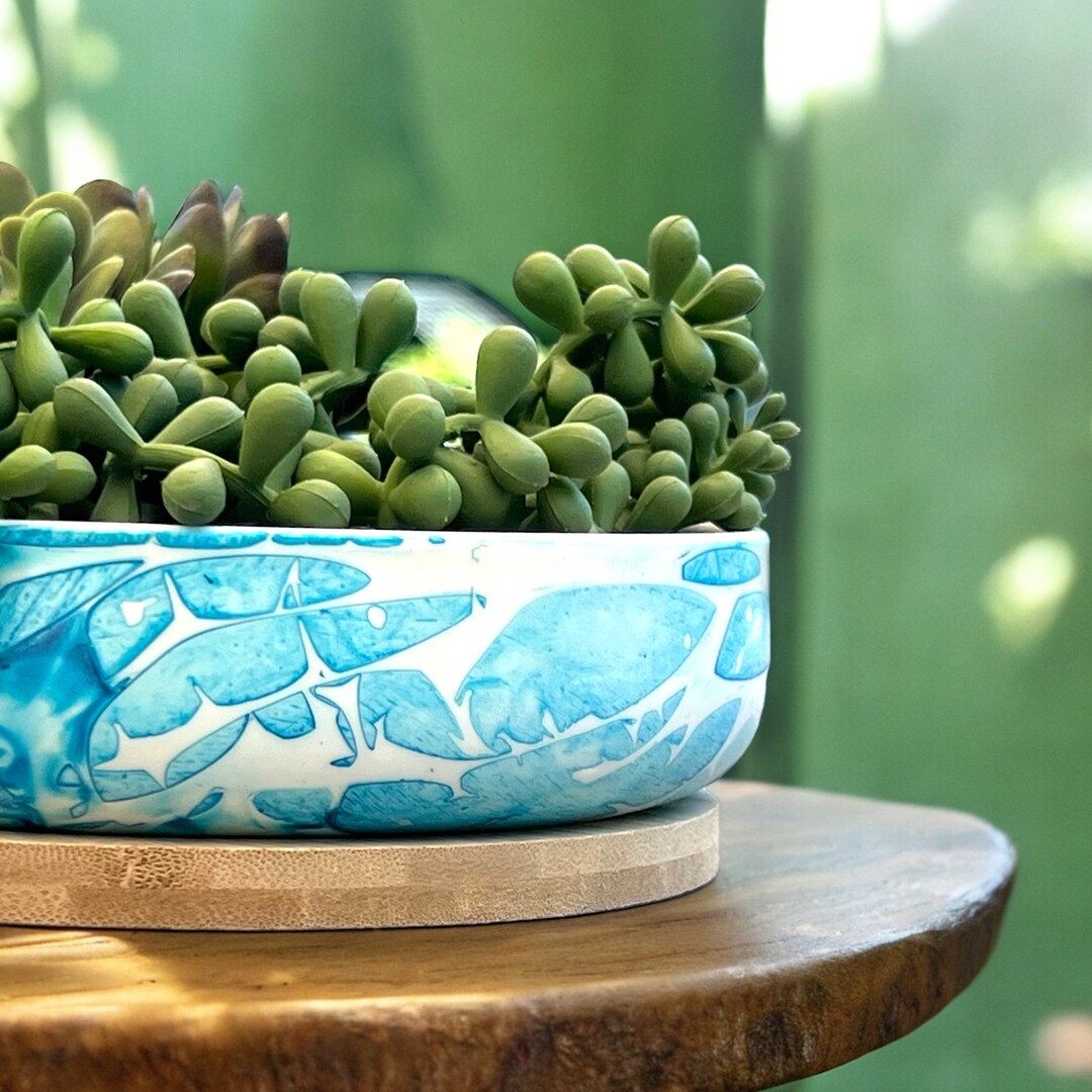 Turquoise Ceramic Planter, Low Bowl Planter, Succulent Planter, Alcohol ...