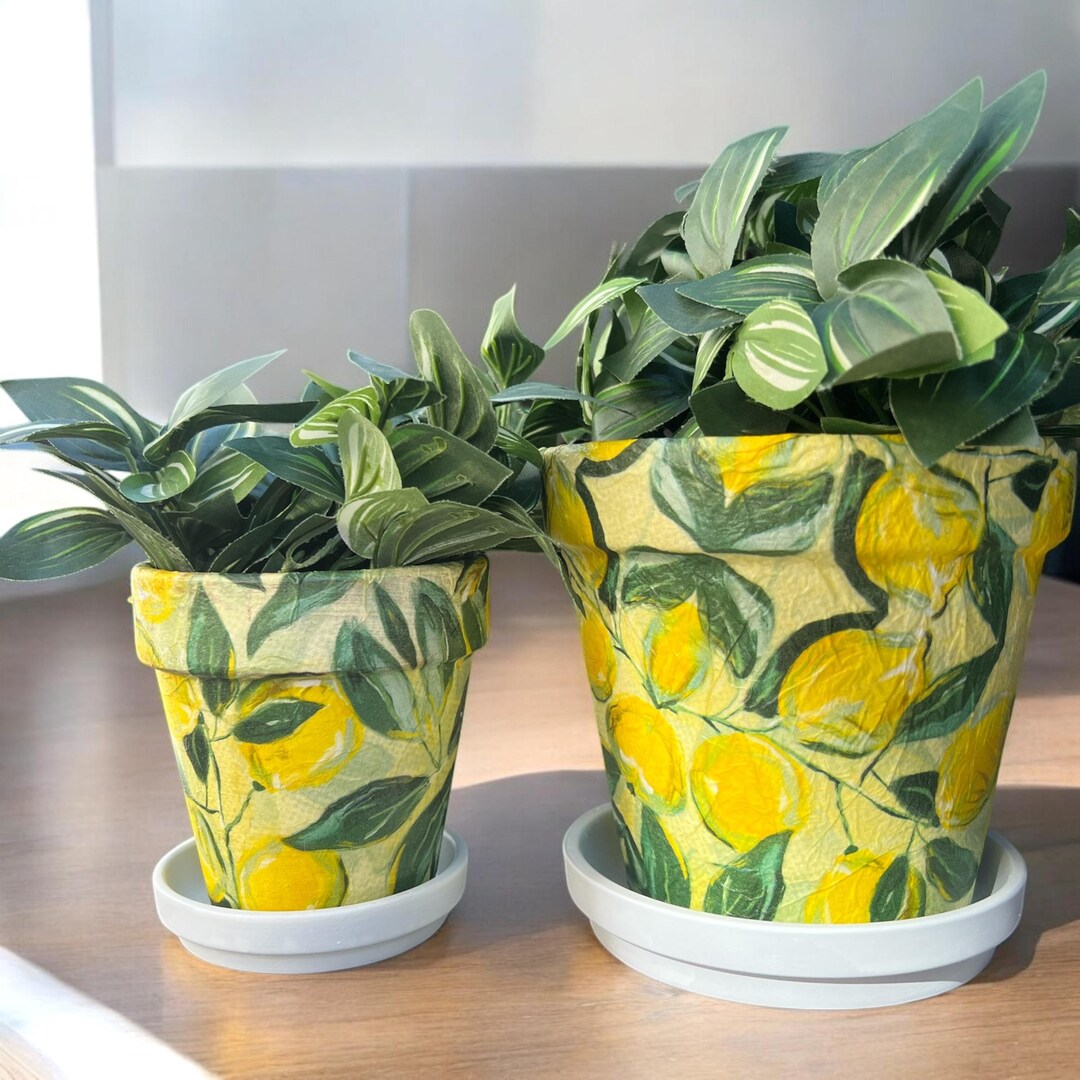 Decoupage Lemon Indoor Planter, Lemon Flower Pot, Plant Lover Gift - Etsy