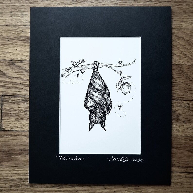 Bat and Bee Black & White Art Print (8x10 Matte) - Etsy