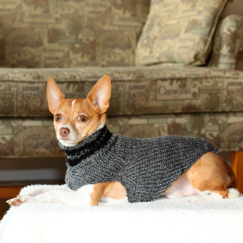 Small Dog Sweater - Etsy