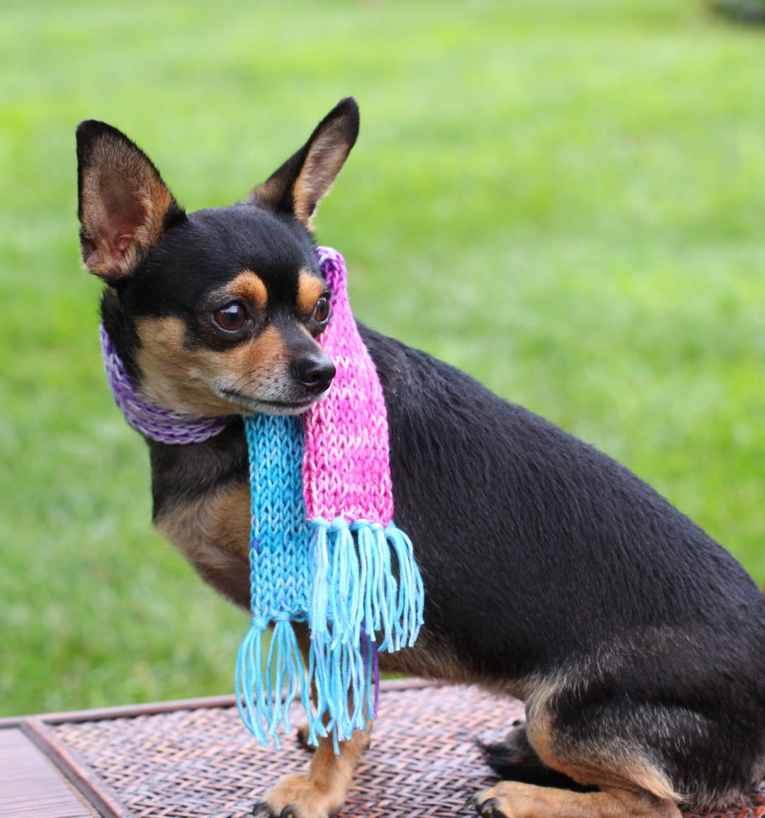 Small Dog Scarf * Chihuahua Scarf * Dog Scarf - Etsy