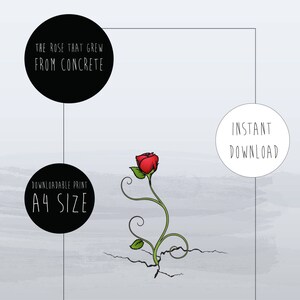 The Rose That Grew From Concrete DIGITAL / PRINTABLE - Etsy Australia