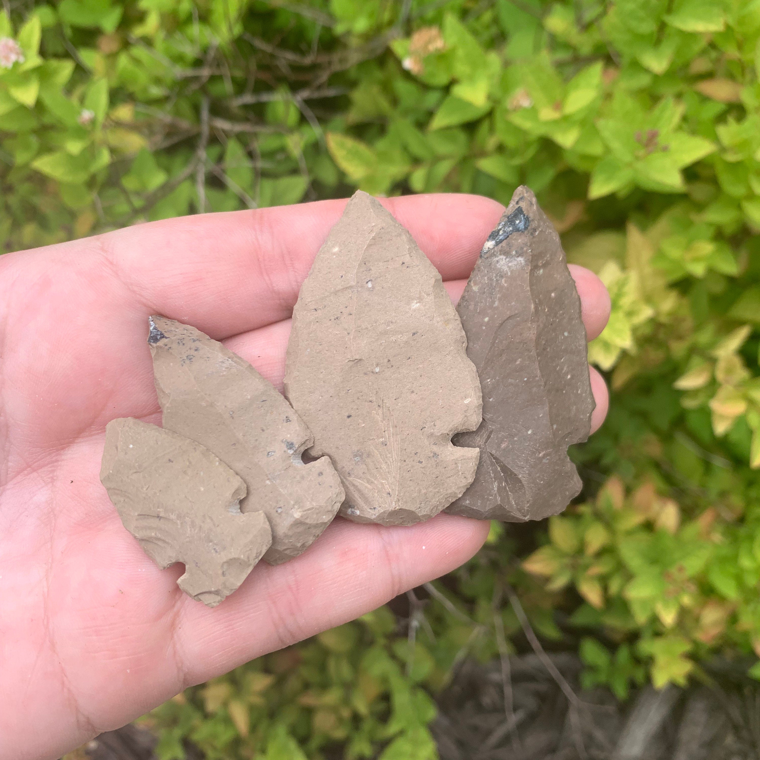 Florida Arrowheads for sale | Only 3 left at -70%