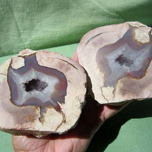 THUNDER EGG Pair Polished Large Geode Agate Creek, Queensland ...