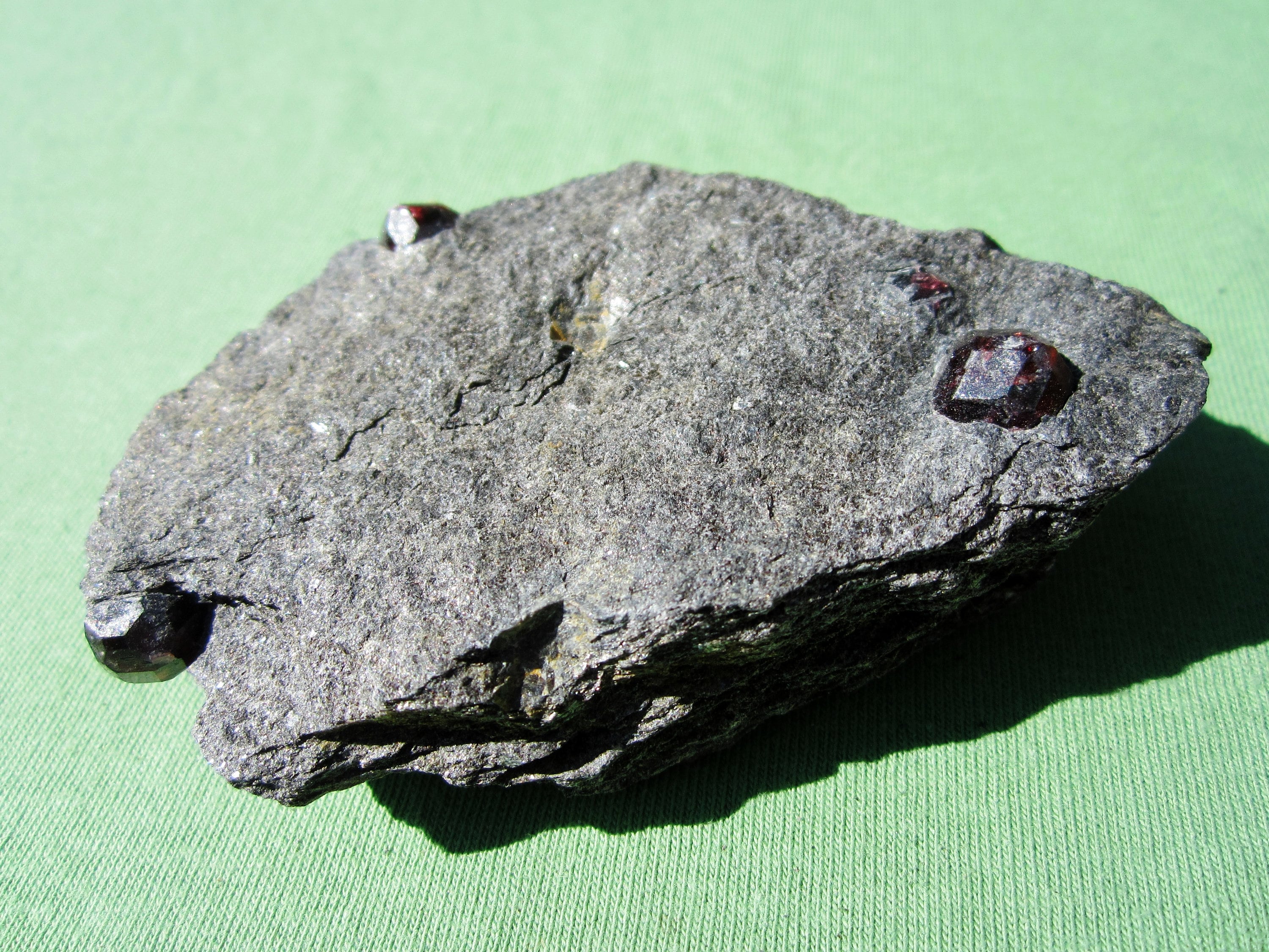Garnet Biotite Schist