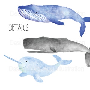 Whales Clipart,sea Animals,ocean,orca,sea Life Clipart,whales Graphic ...