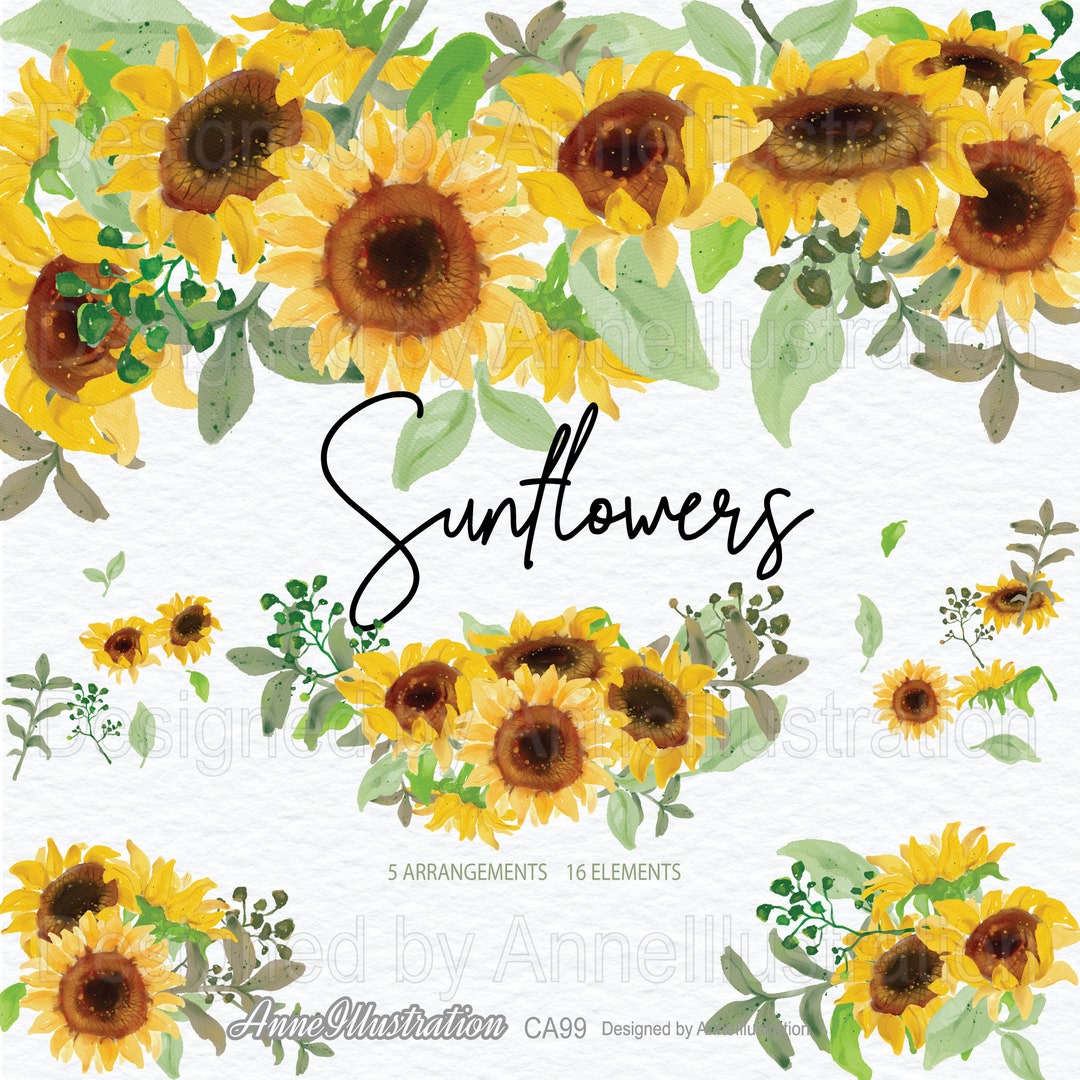 Watercolor Sunflowers Clipart,floral,frame,blush,bouquets,wedding ...