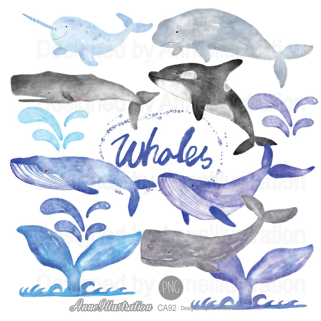Whales Clipart,sea Animals,ocean,orca,sea Life Clipart,whales Graphic ...