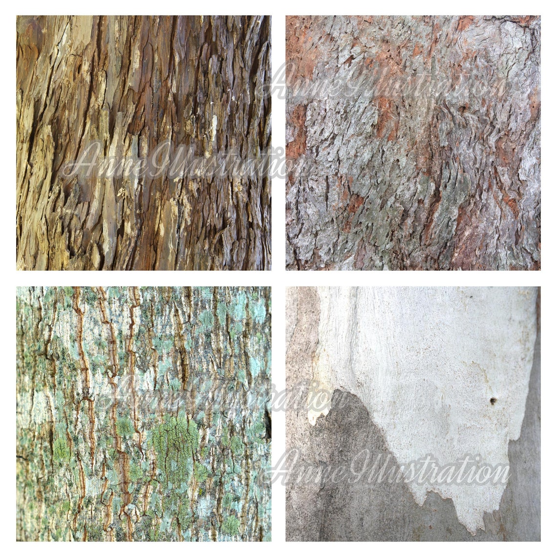 Tree Bark Texture Digital Papernot in - Etsy Australia