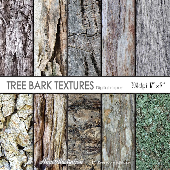 Pine Bark Texture Seamless