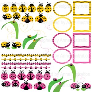 Ladybugs Clipart,ladybugs Digital Paper,insect Clipart,cute,ladybird ...