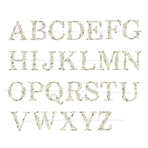 Floral Alphabet Clipart,letters Clipart,flowers Clipart,spring Clipart ...
