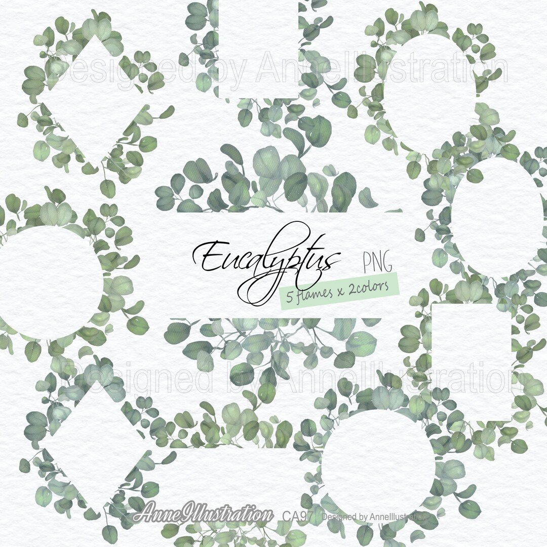 Eucalyptus Frame Clipart,watercolor,wreath,border,bouquets,greenery ...