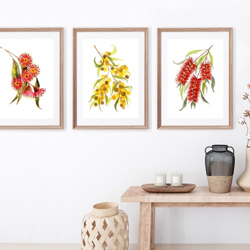 Set of 3 Australian Flora Art Prints Wattle Bottlebrush Red - Etsy ...
