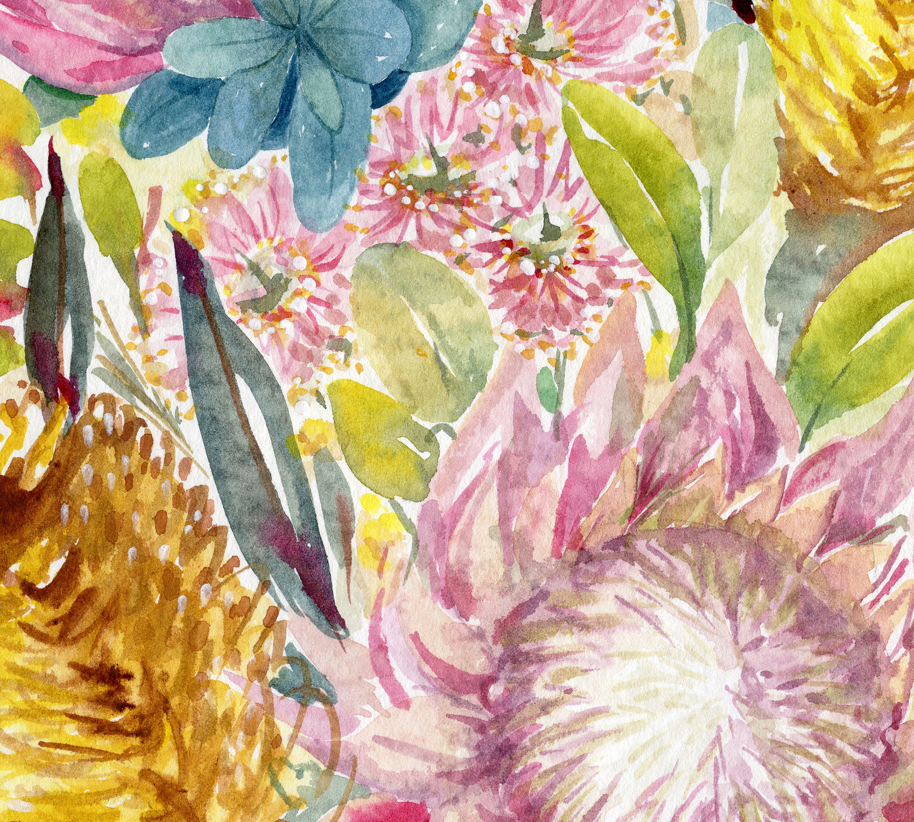 Australian Flowers Art Print Native Aussie Flora Wall Decor | Etsy