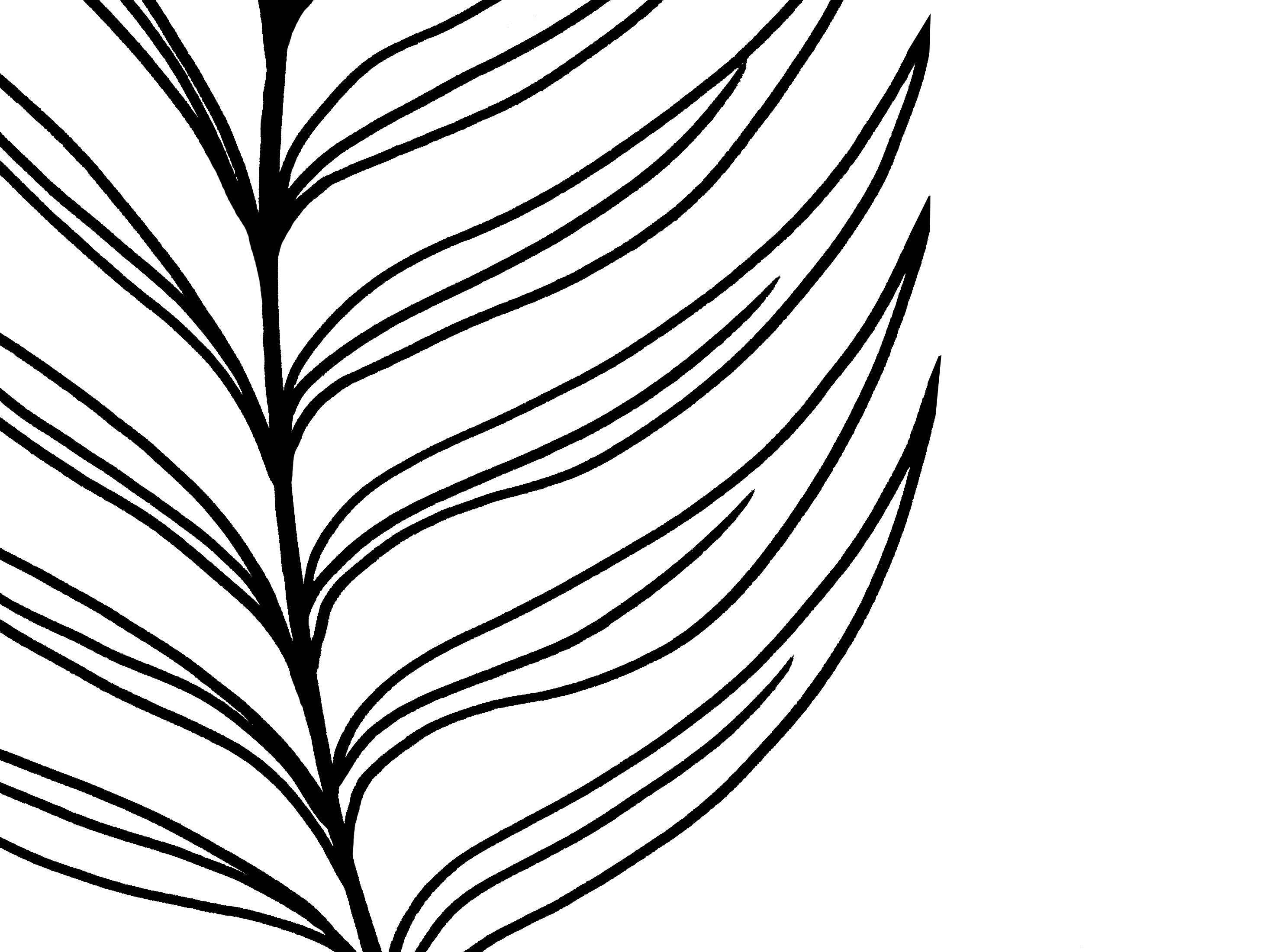 Leaf Line Art Drawing / Set of 3 Prints / Natural Leaves Home - Etsy ...