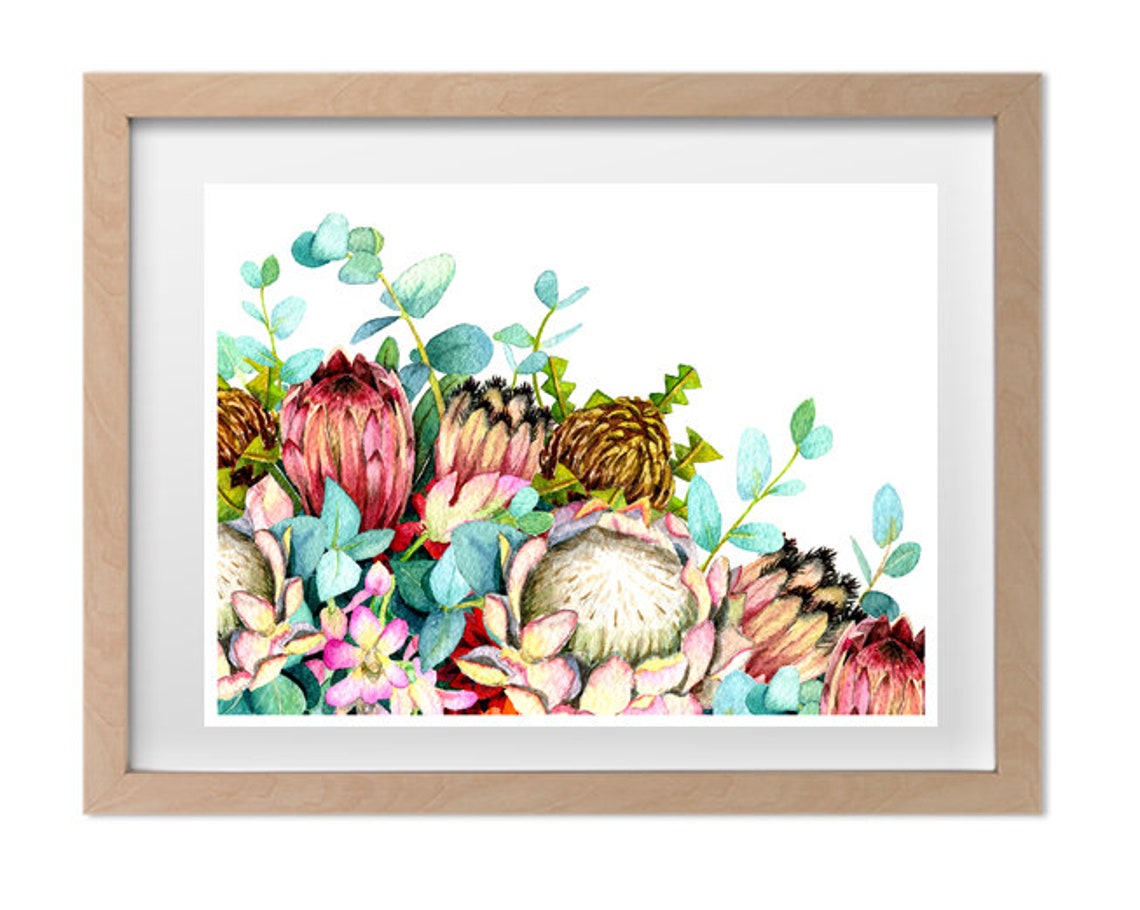 Australian Native Flowers Art Print Australiana Watercolor | Etsy