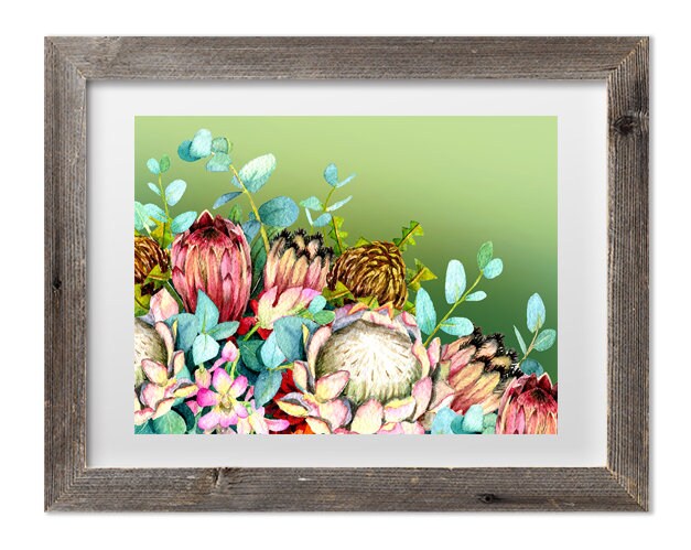 Australian Native Flowers Art Print Australiana Watercolor | Etsy