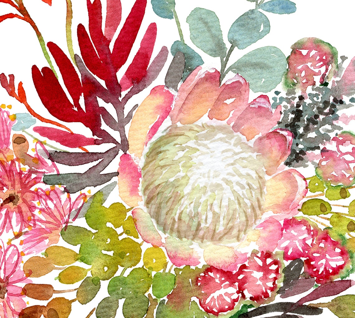 Australian Flowers Art Print Native Aussie Flora Wall Decor - Etsy ...