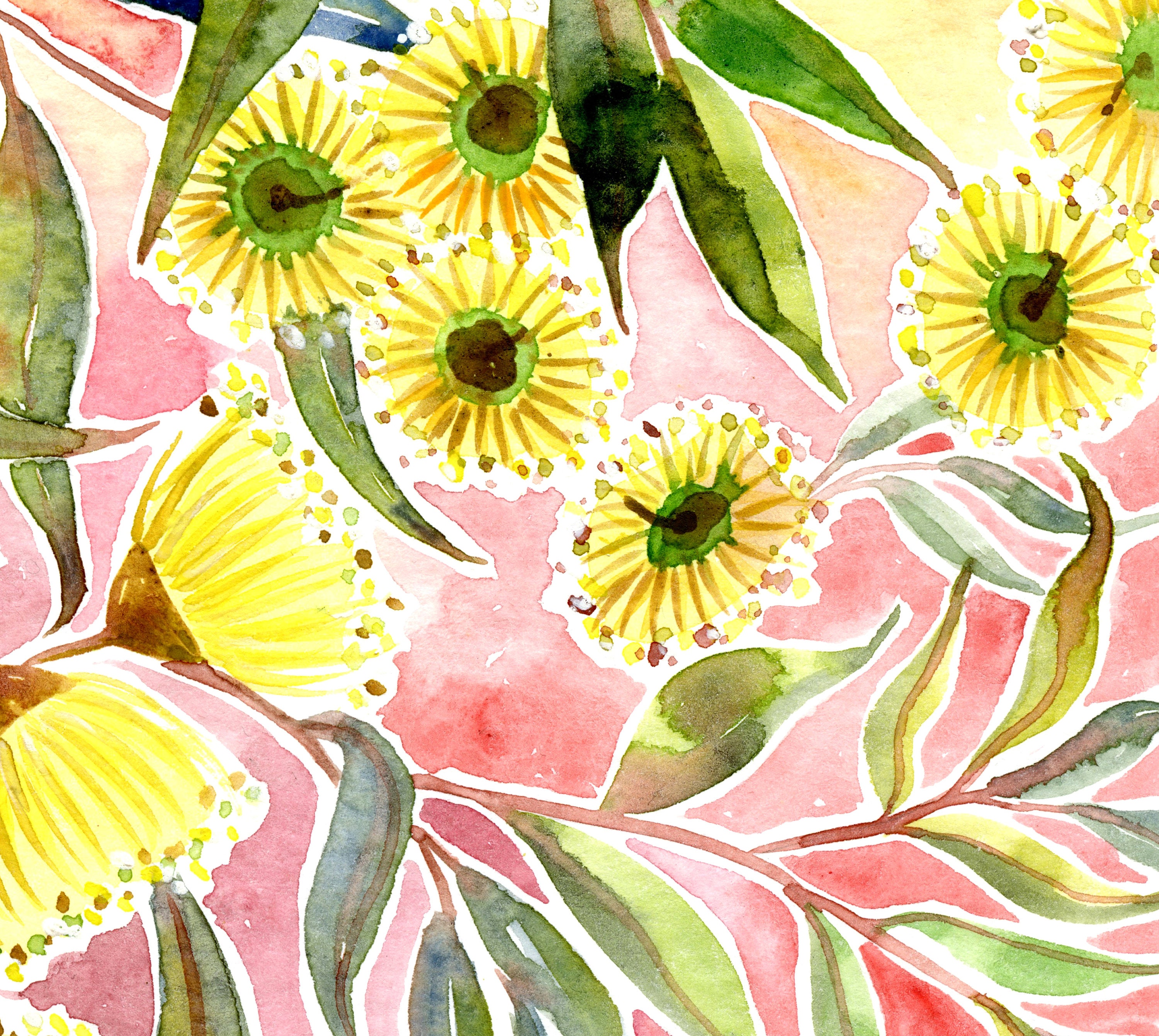 Yellow Gum Blossom Art Print Australian Native Flowers | Etsy