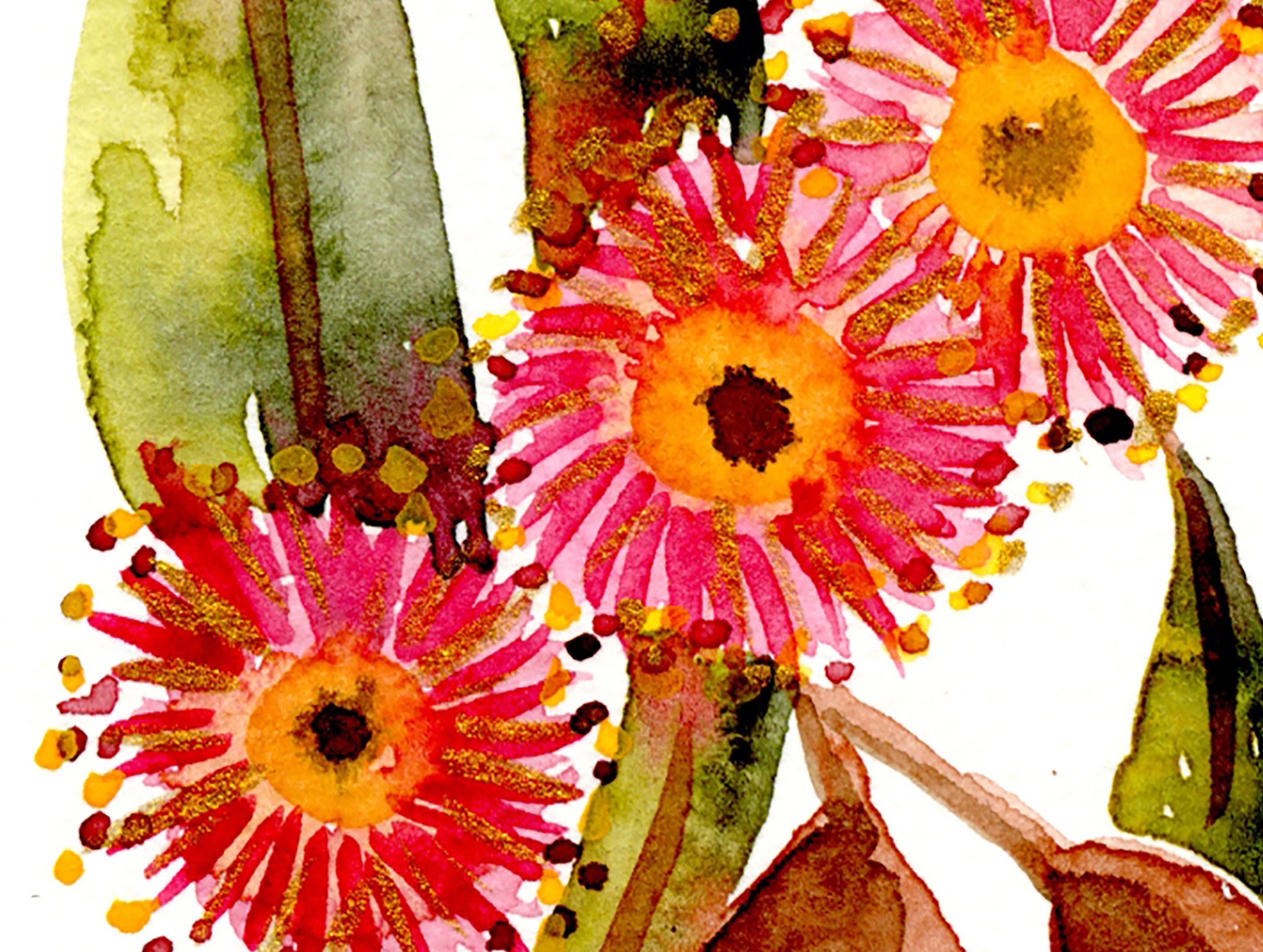 Set of 3 Australian Flora Art Prints Wattle Bottlebrush Red - Etsy ...