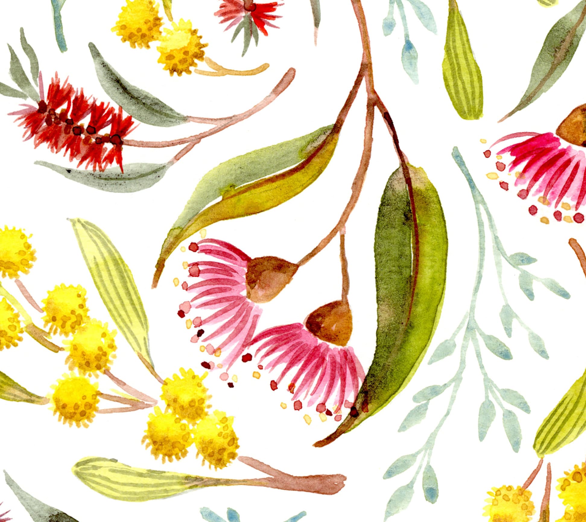 Australian Native Flowers Art Print Aussie Bush Watercolour | Etsy ...