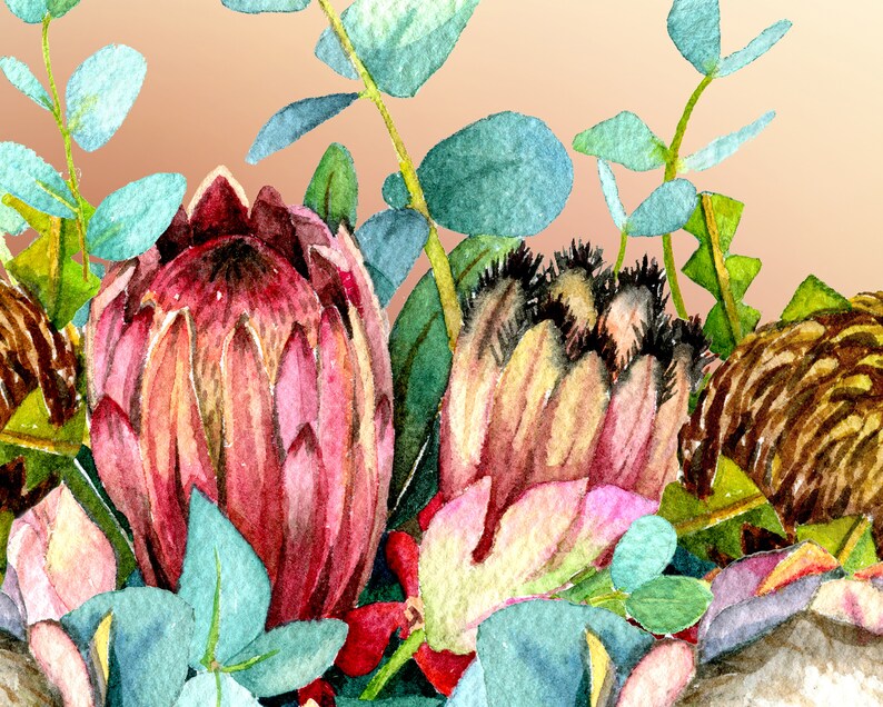 Australian Native Flowers Art Print, Australiana Watercolor Wall Art ...